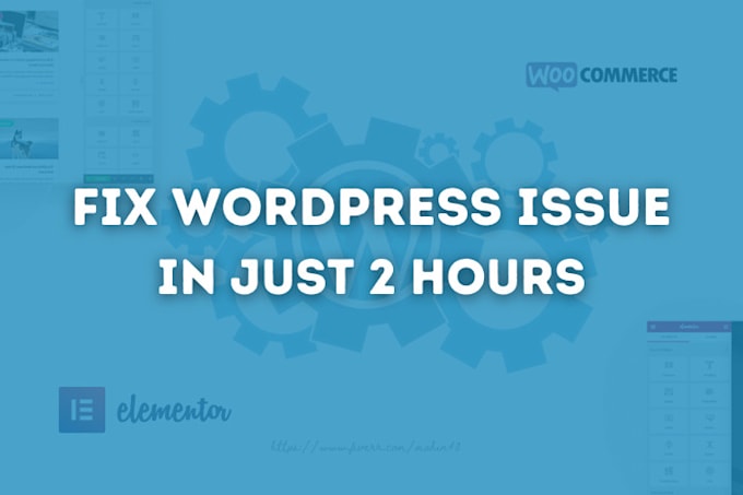 Fix Wordpress Woocommerce Elementor Issues Bugs And Errors By Mamuna