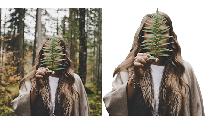 Remove backgrounds starting from 5 images at a time by Trekmp | Fiverr