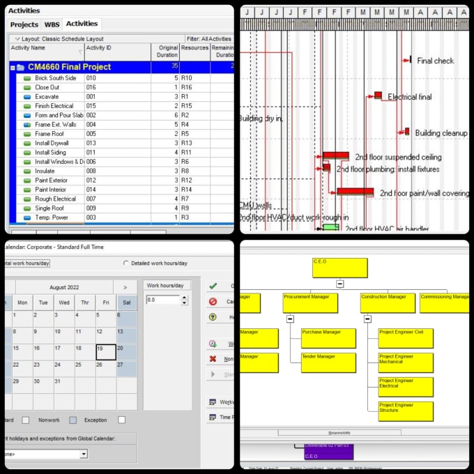 Make task, sub tasks, gantt chart, scheduling etc on ms project or ...