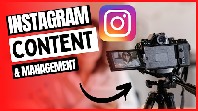 Create content and manage your instagram account by Bayleaf33 | Fiverr