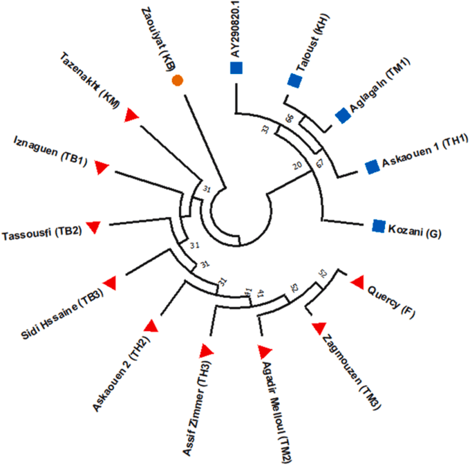 Perform Your Bioinformatics Analysis By Medinnovation Fiverr