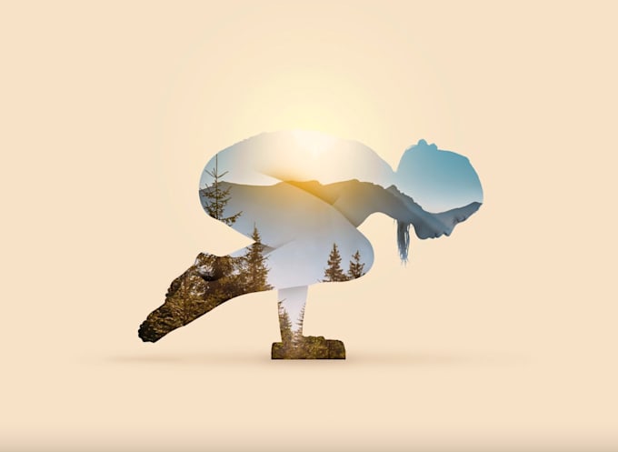 Do photo manipulation, photoshop editing and collage by Alecassaia | Fiverr