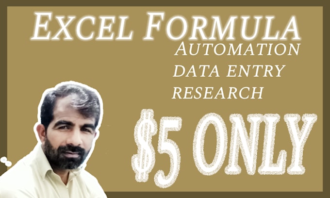 Do microsoft excel formula, excel automation, excel data entry by Bloch120 | Fiverr