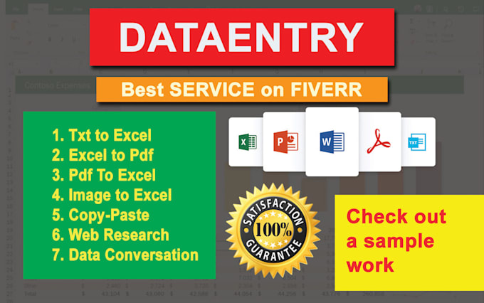 Do data entry ,ms excel,ms word ,pdf,copy pasting,typing by Chandio22 | Fiverr