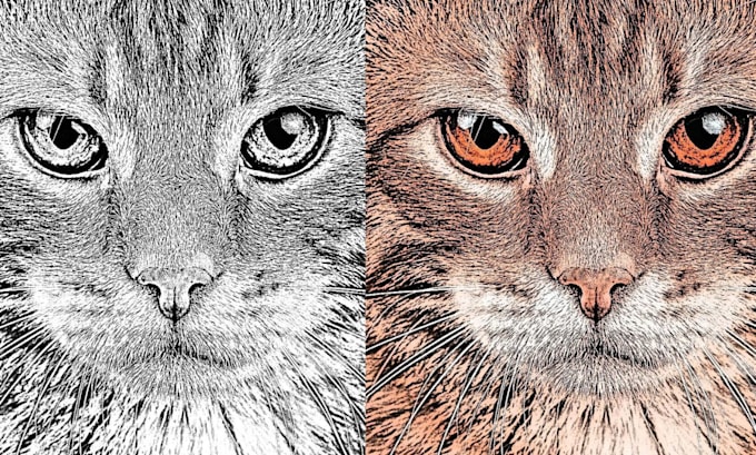 Draw digital pencil sketch painting from your any picture by ...