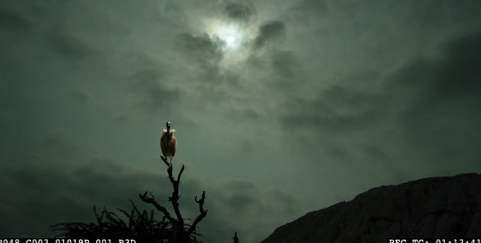 Do vfx, prep, root, matte painting by Kaushalyadatt | Fiverr