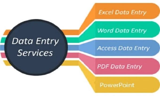 Do excel data entry in software, typing, and data reporting by Ntnits ...