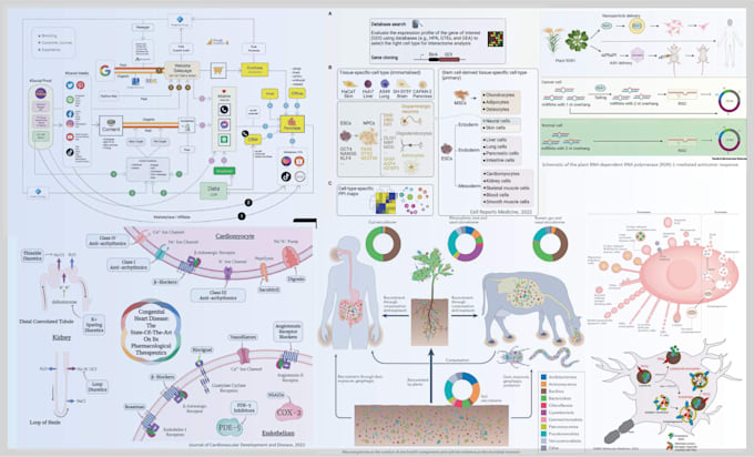 Make scientific and medical illustrations and diagrams by Khalidkhan396 ...