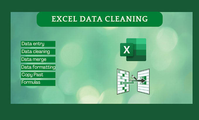 Do Excel Data Cleaning Copy Past Data Entry Pdf To Excel Merge By 7936