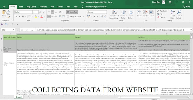 Do data entry and administrative work using excel by Lianariani | Fiverr