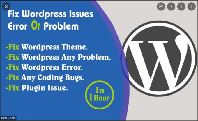Fix Wordpress Issues And Do Customization Wordpress Errors By Alimazhar0524 Fiverr