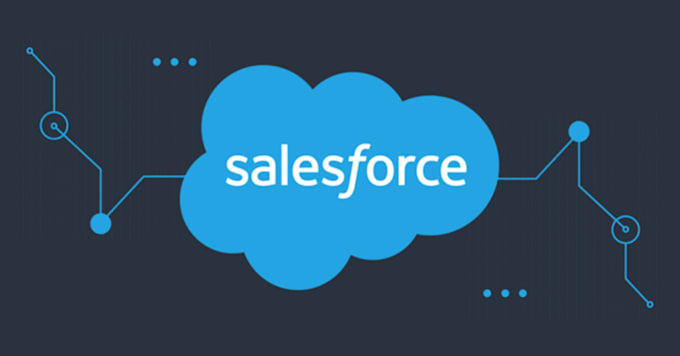 Provide Developer For Salesforce Development Configuration Admin And