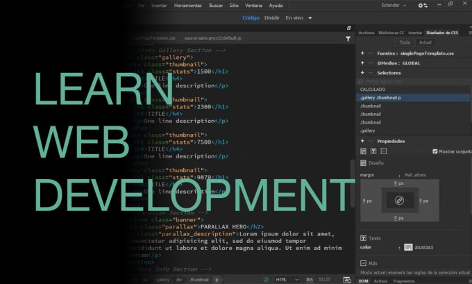 Teach You The Basic Of Web Development Html Css And Javascript By Cameronscholes Fiverr