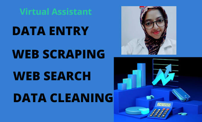 Basic Excel Data Entry Data Collection Copy Paste Web Research By