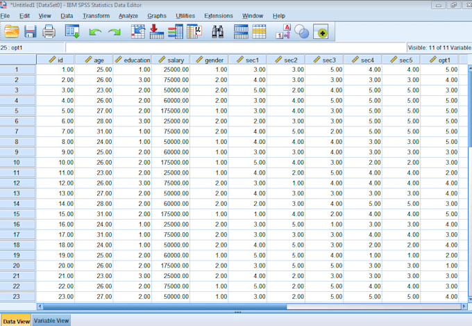 Expert data entry and spss analysis by Malikuzair66 | Fiverr