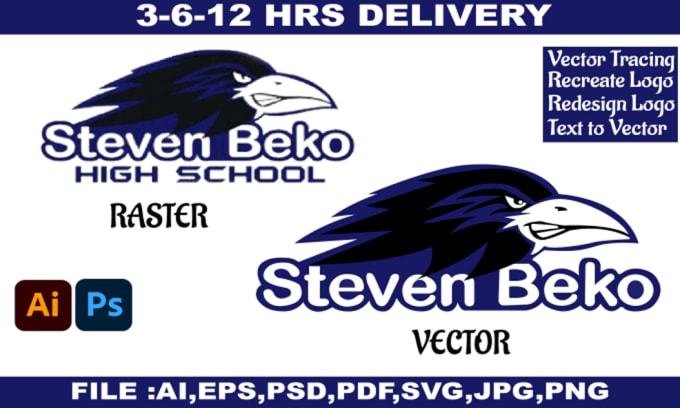 Professionally remake logo,redraw,edit,modify,recreate,resize and ...