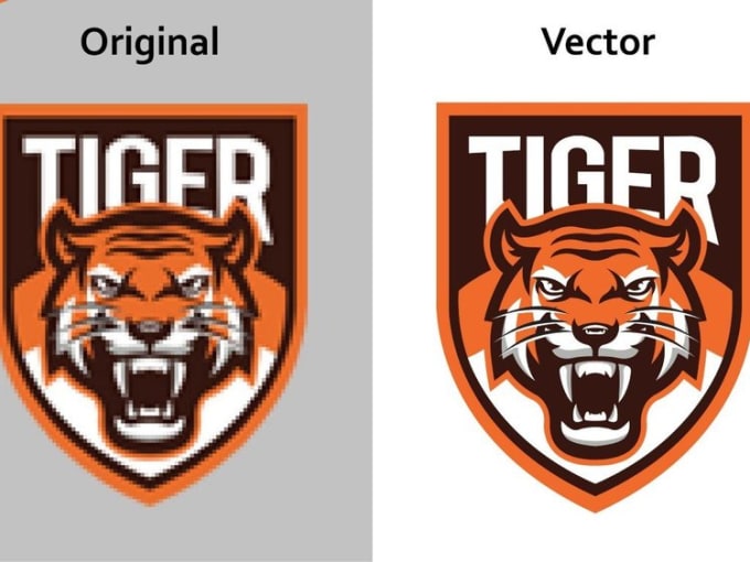 Redesign, update, modify, recolor, edit, vectorize, transparent your ...