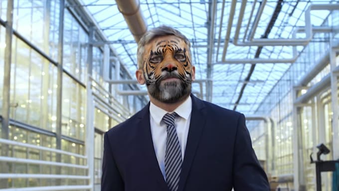 Do in video face mackup spot remove funny face editing by Rahad21 | Fiverr