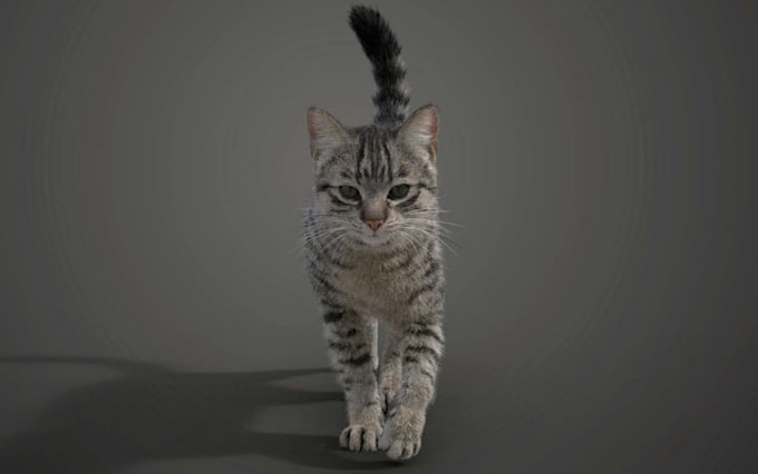 Do high quality 3d animal model, texture, rig and animation with ...