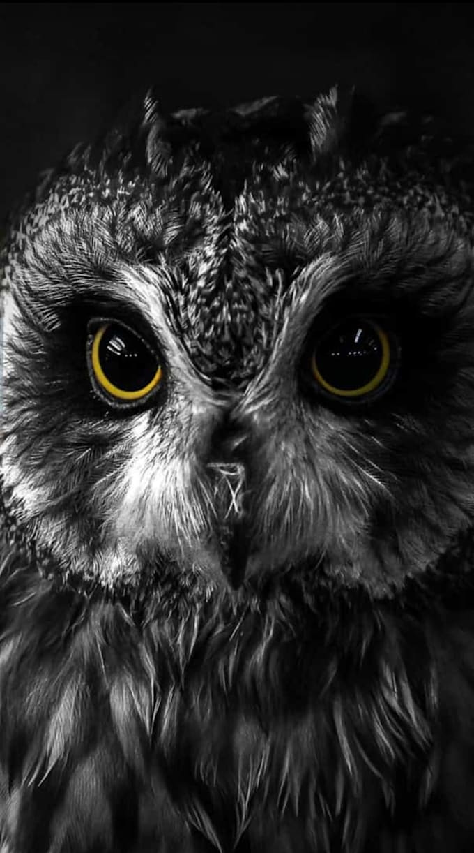 Help you type any work you need typed by Ericodhiambo67 | Fiverr