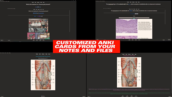 Make exceptional personalized anki flashcards, optimized for retention ...