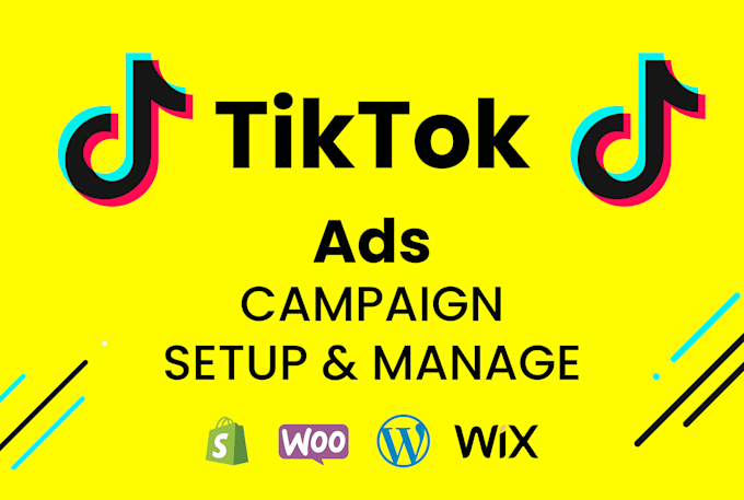Run and manage tiktok ads campaign, tiktok promotion, advertising, tik ...