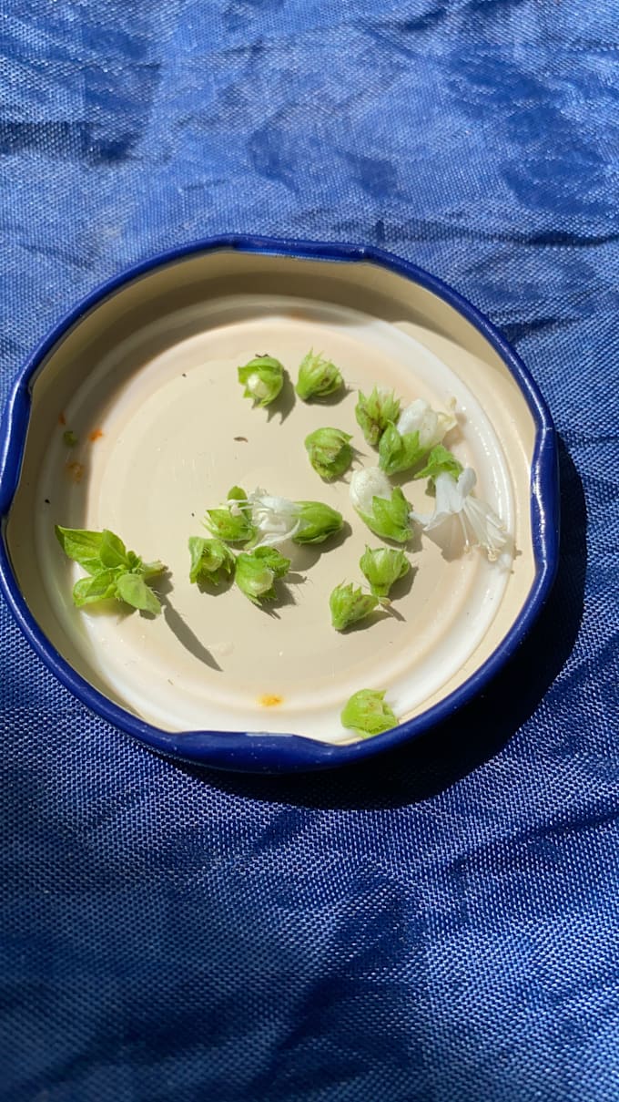 Something really cool i think by Mario_anastasia | Fiverr