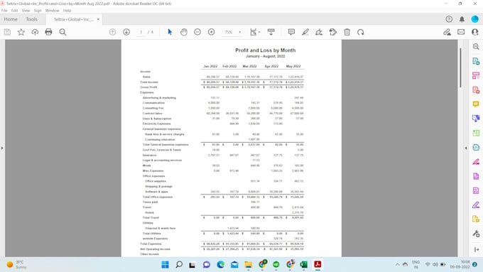 Prepare financial statements in excel or any accounting software in 2 ...