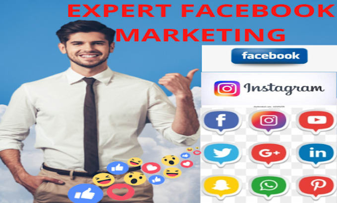 Be expert facebook promotion fb advertising and ads by Alamin180630 ...