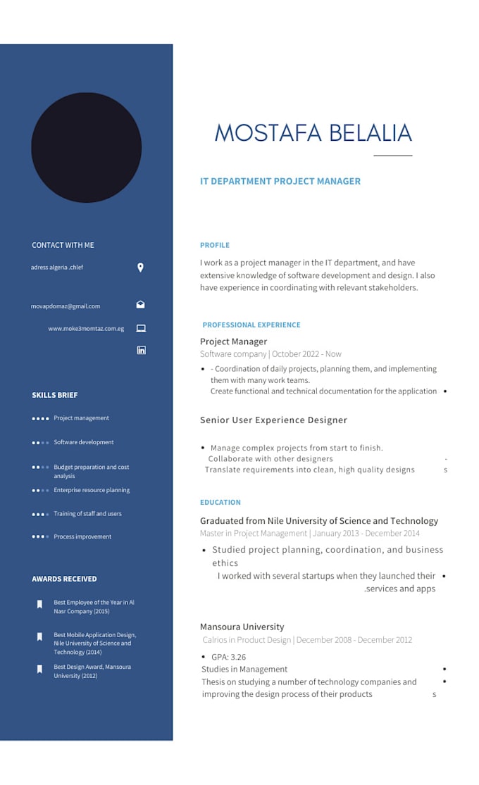 Make a professional cv in arabic and english and french by Movapdomaz ...