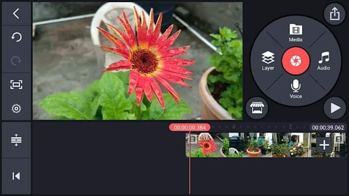 Video editing and script writing for youtube and short film by ...