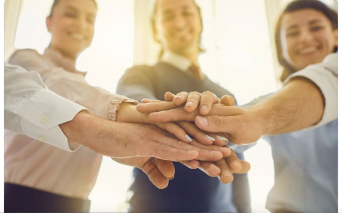 Support you succeed in the job finding process by cv review, career ...