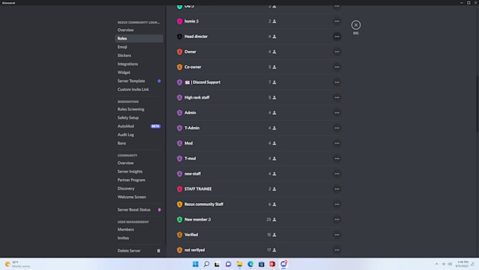 Make u a full on discord all set up with bots and roles ect by Rezux0 ...