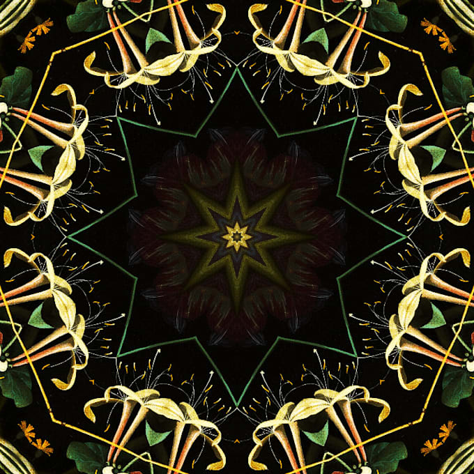 Customize a seamless pattern design by Nelo_designs | Fiverr