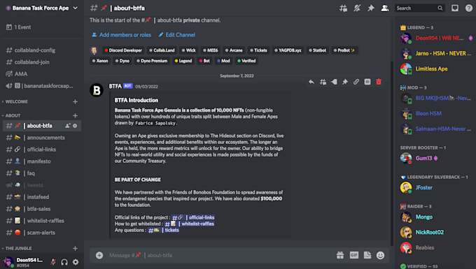 Create professional discord server by Dionne0211 | Fiverr