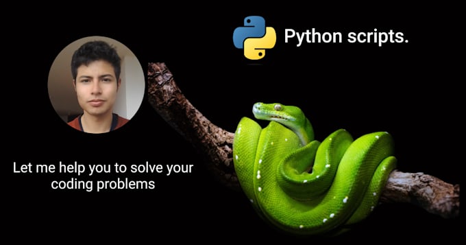 Do python scrips for you gui, scipy, selenium by Rafaelsantia383 | Fiverr