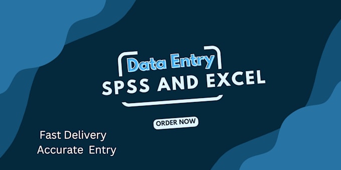 Do data entry for spss and excel by Jawwadkhan619 | Fiverr