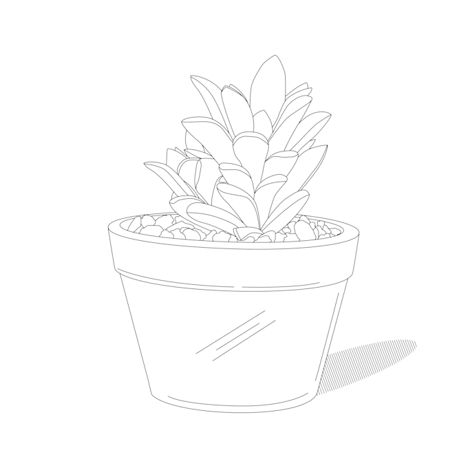 Make simple vector line art, outline illustration from picture by Mim ...