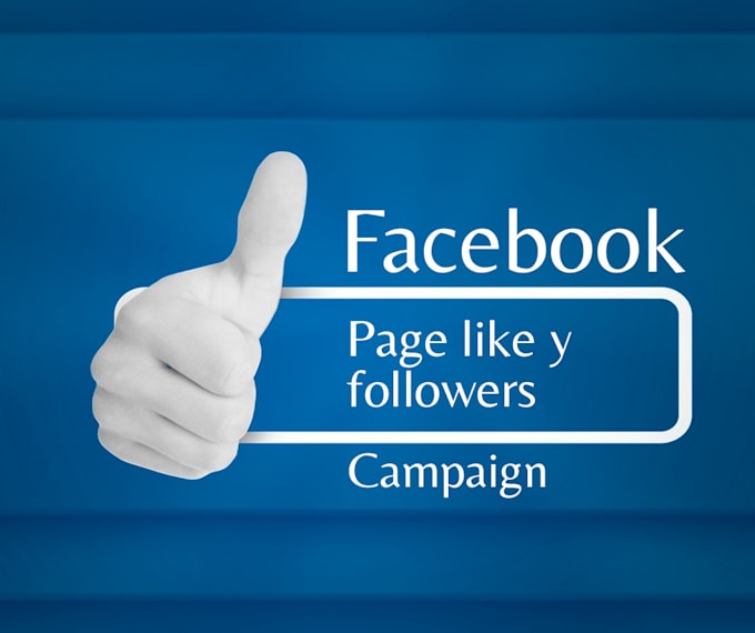 Create a facebook ad campaign to grow your page likes by Dimario_prada | Fiverr
