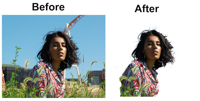 Remove background of 5 complex images by Rabiamushtaq316 | Fiverr