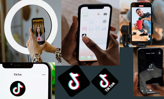 Be your tiktok manager, tik tok content and post creator by Hajar__bou ...