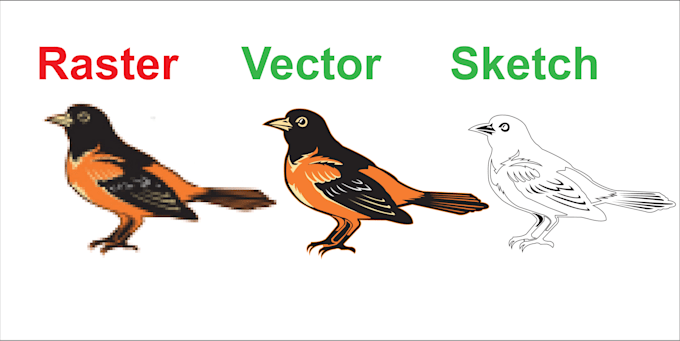 Draw a details vector line art illustrations by Mukterislam | Fiverr