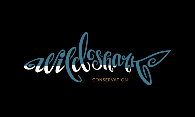 Make a custom lettering typography design for the logo by Konsstudio ...