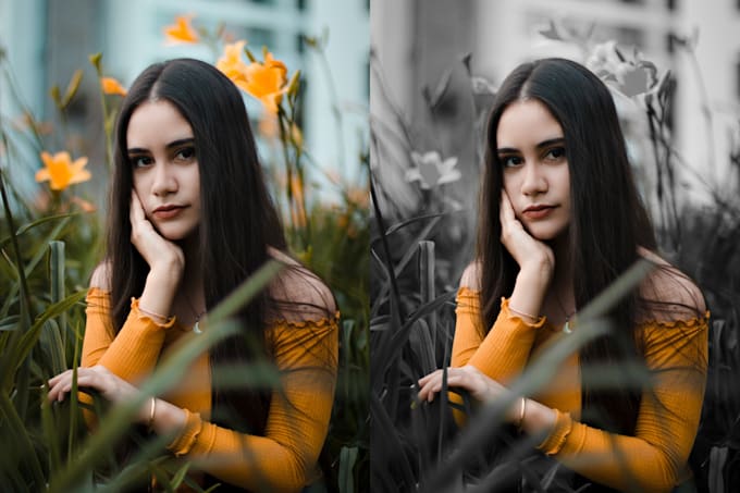 Add color splash effect for any photo by Rosila | Fiverr