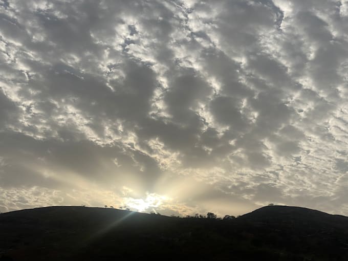 Build sophisticated user friendly applications by Torimichaels | Fiverr