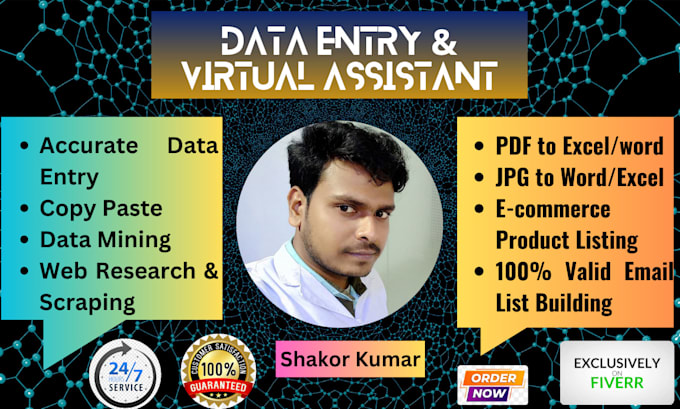 Be your data entry virtual assistance for your business to improve by ...