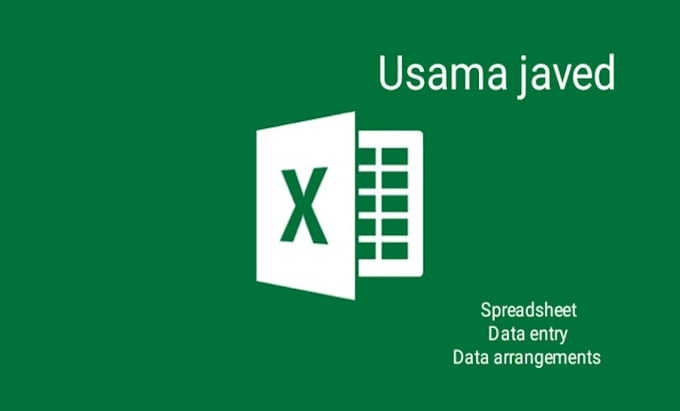 Create excel spreadsheet data entry excel editing by Usamajaved710 | Fiverr