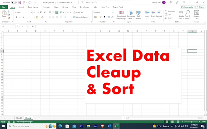 Do excel data cleaning, excel data entry, data cleanup by Osman_ghani | Fiverr