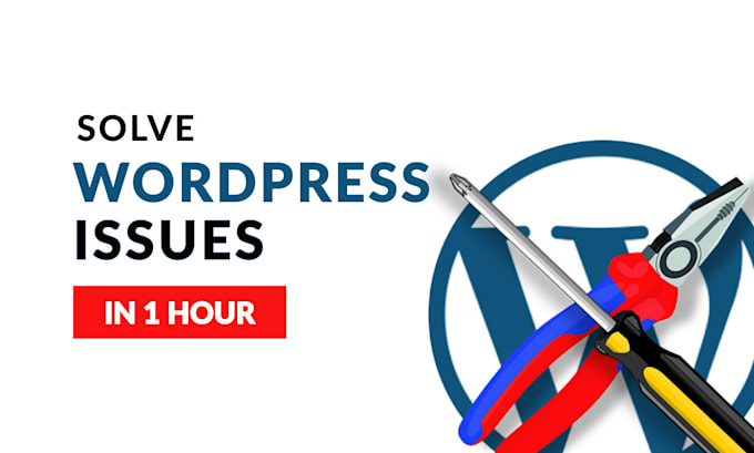 Perfectly fix all wordpress issues, bugs and errors by Olowudaniel1 ...