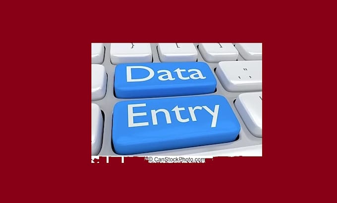 Help you in making best data entry by Anishmakbar | Fiverr